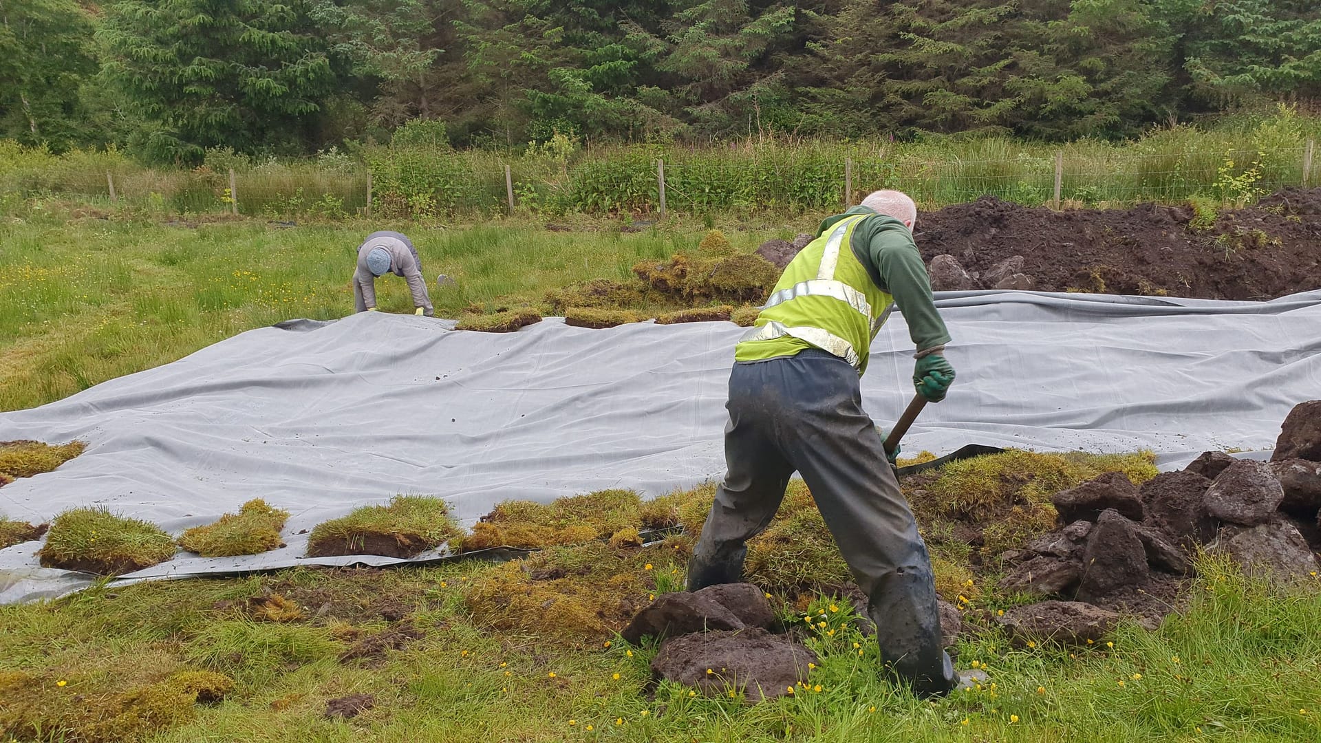 Turning a Boring Lawn into a Wildlife Garden - Nourishing Ireland