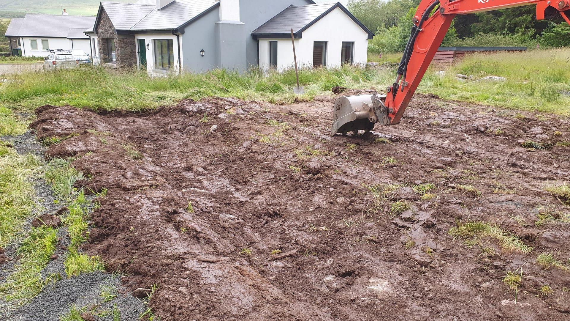 Turning a Boring Lawn into a Wildlife Garden - Nourishing Ireland