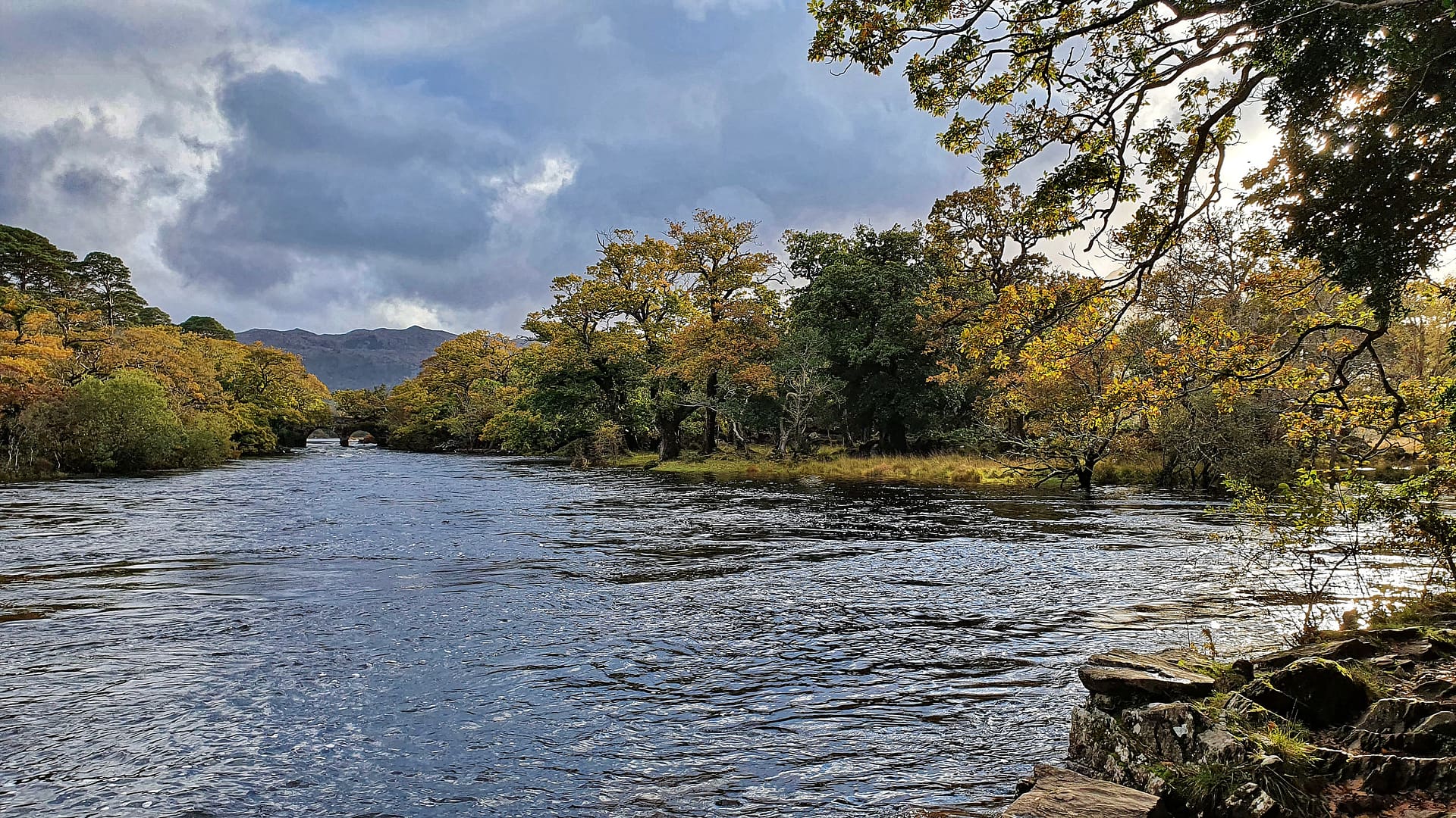 Killarney National Park in October - Nourishing Ireland