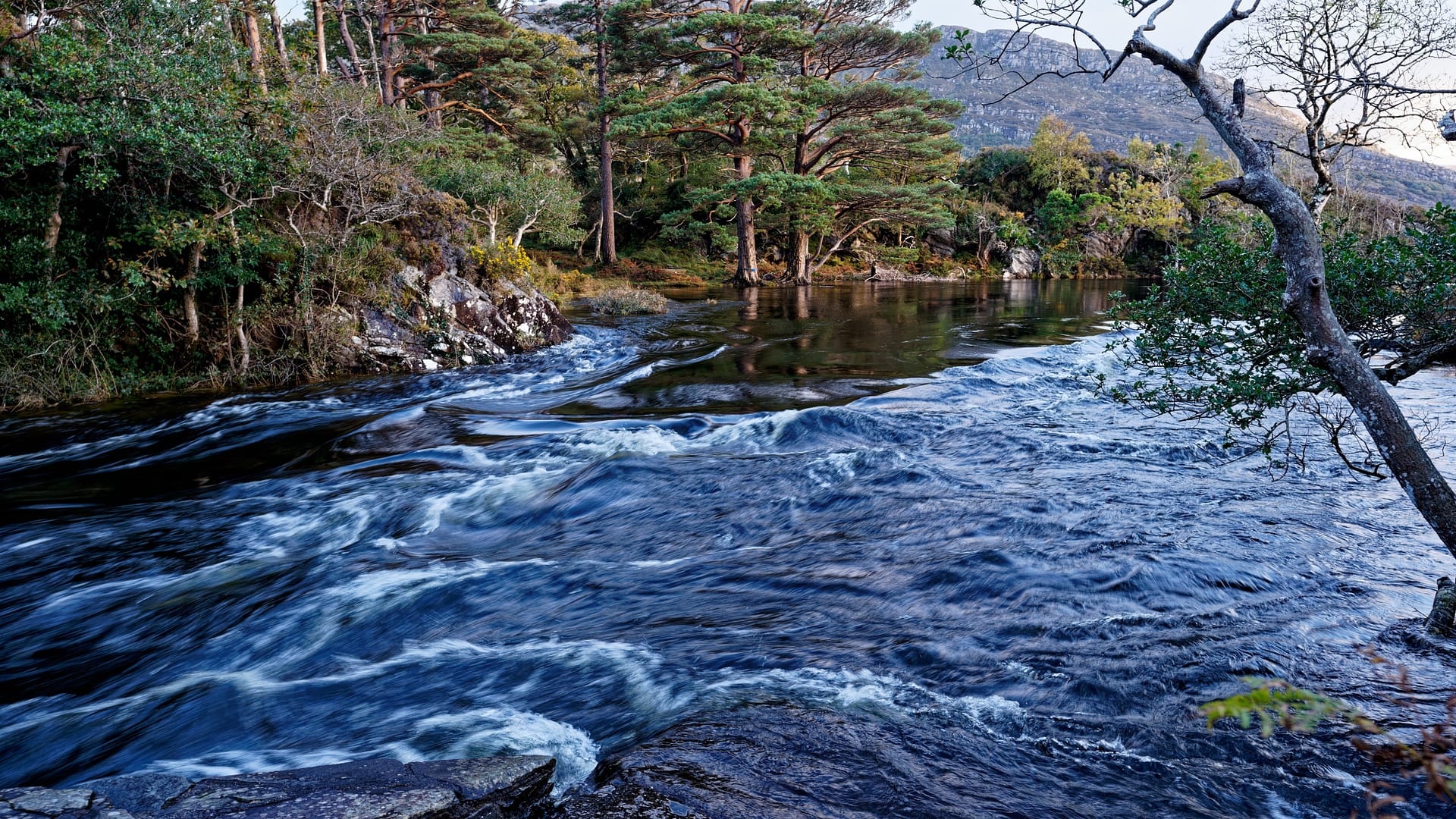 Killarney National Park in October - Nourishing Ireland