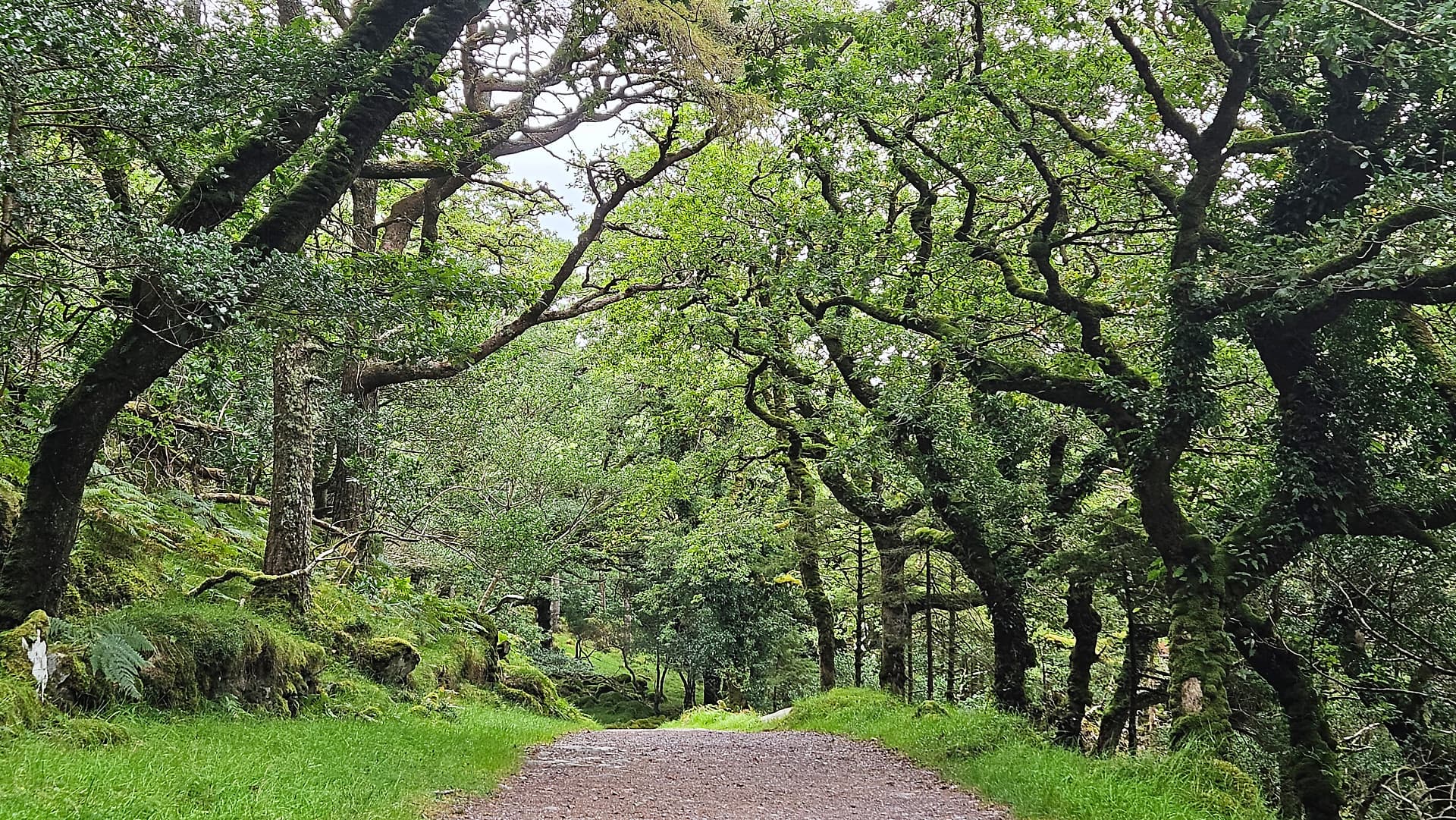 Hiking the Old Kenmare Road - Nourishing Ireland